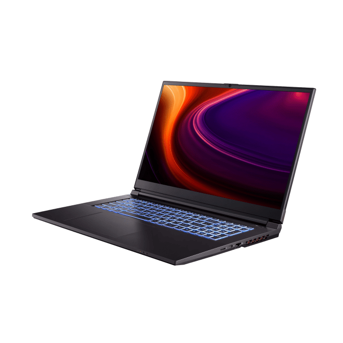 CLEVO i7 10875H 10Gen 16Go 1To SSD Nvidia RTX 2080 17.3″ - metasup